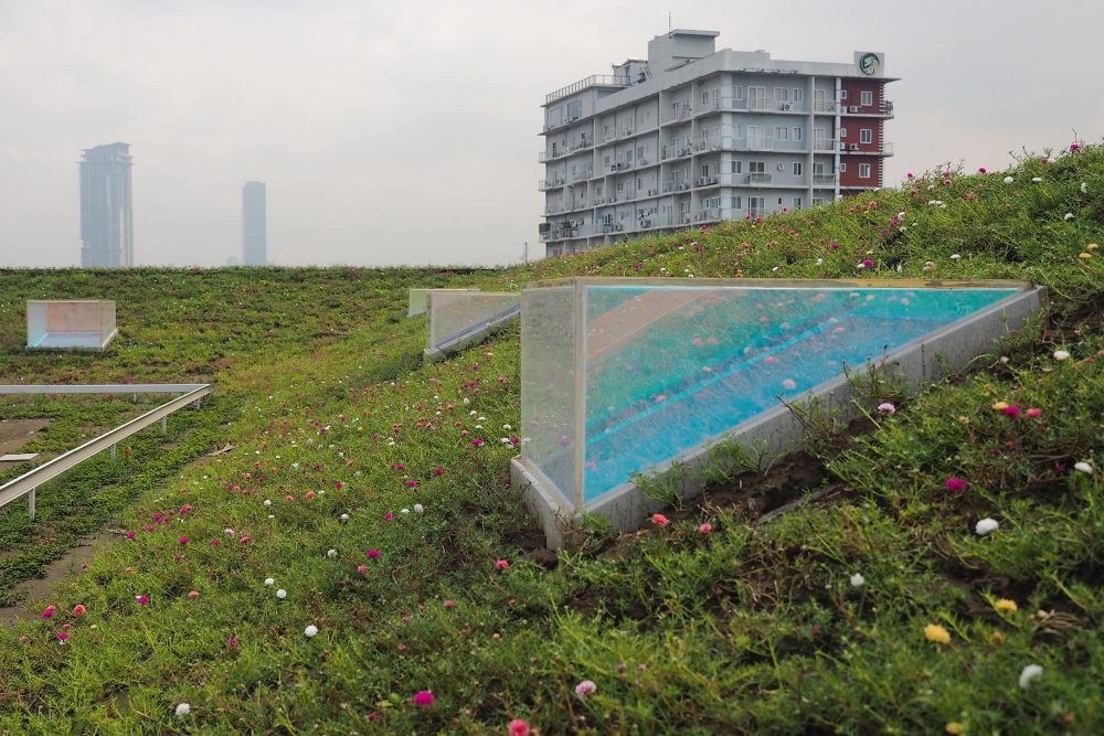 The Corner House – Department of ARCHITECTURE Co.